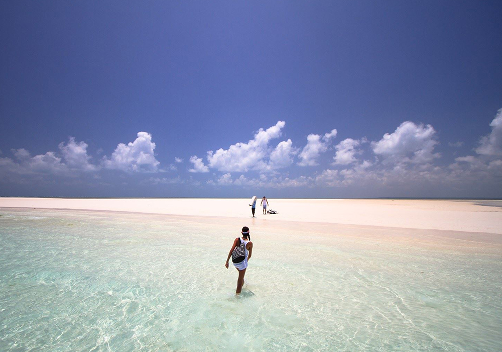 Sandbank Island Tour | Coral Sites & Tours Limited